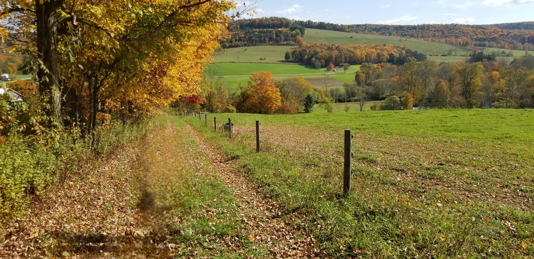 Step By Step Fall Gardening Guide